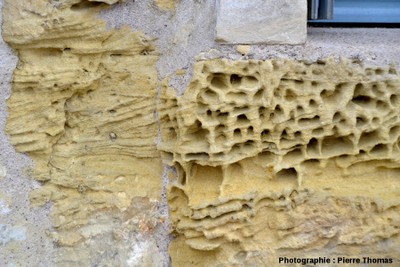 413-erosion-alveolaire-taffoni-01.jpg — Planet-Terre