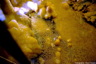 620 triangle calcite 14 — Planet-Terre