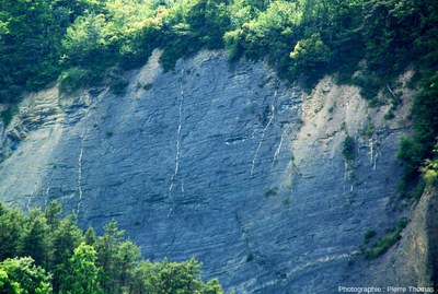 698-filon-calcite-24.jpg — Planet-Terre