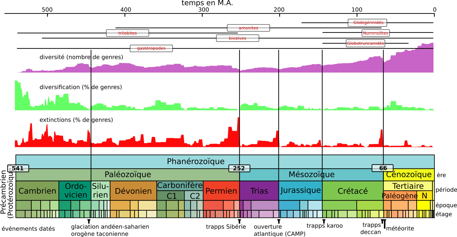frise-geologique-07.jpg — Planet-Terre