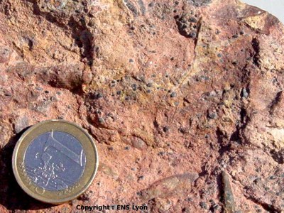 schisto-cisailltoo1.jpg — Planet-Terre