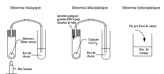 tp-interactions-fig01.gif — Planet-Terre